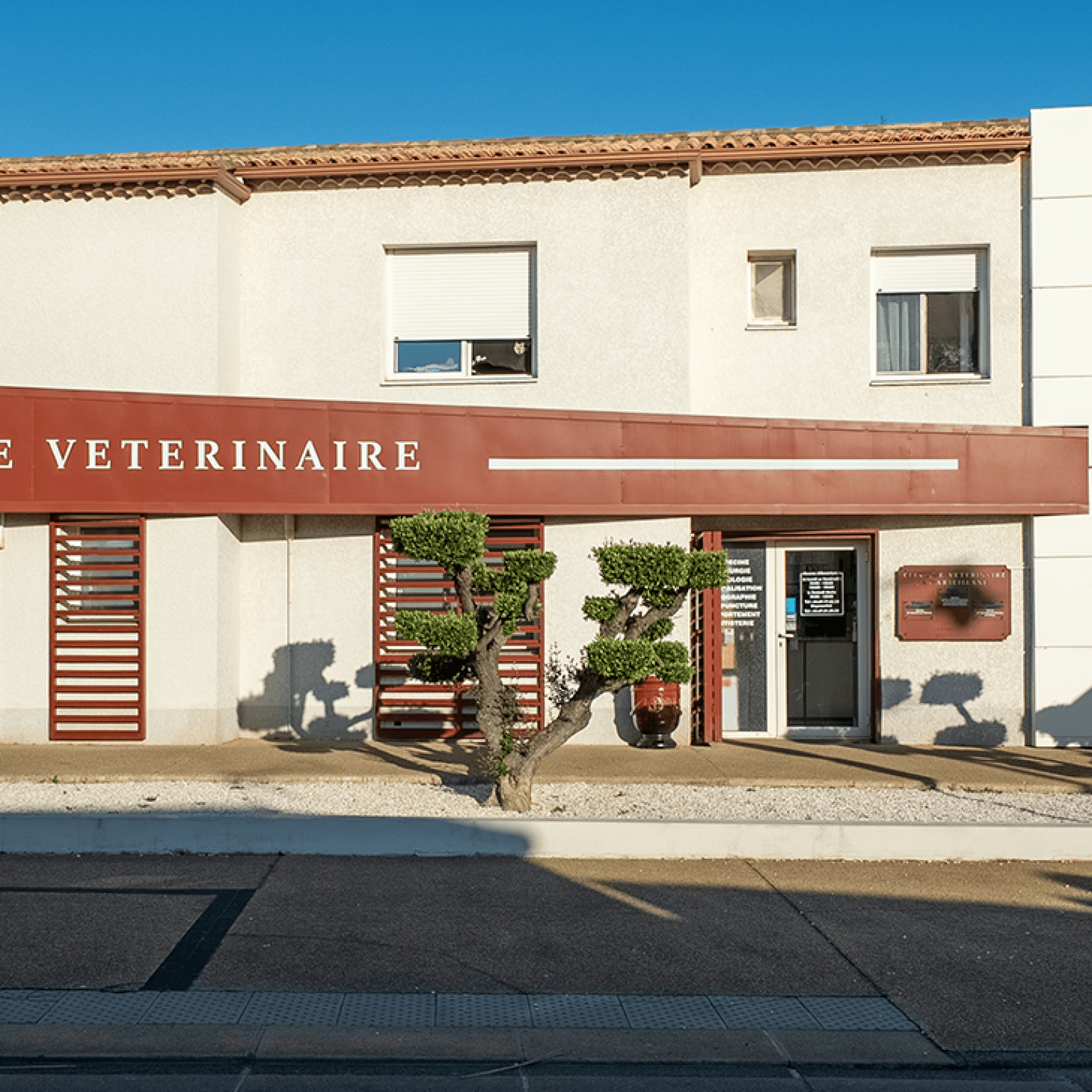Clinique Vétérinaire la Marseillane - Marseillan (34340)