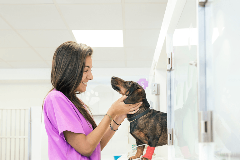 Mon Véto - 1er Réseau français de Cliniques Vétérinaires