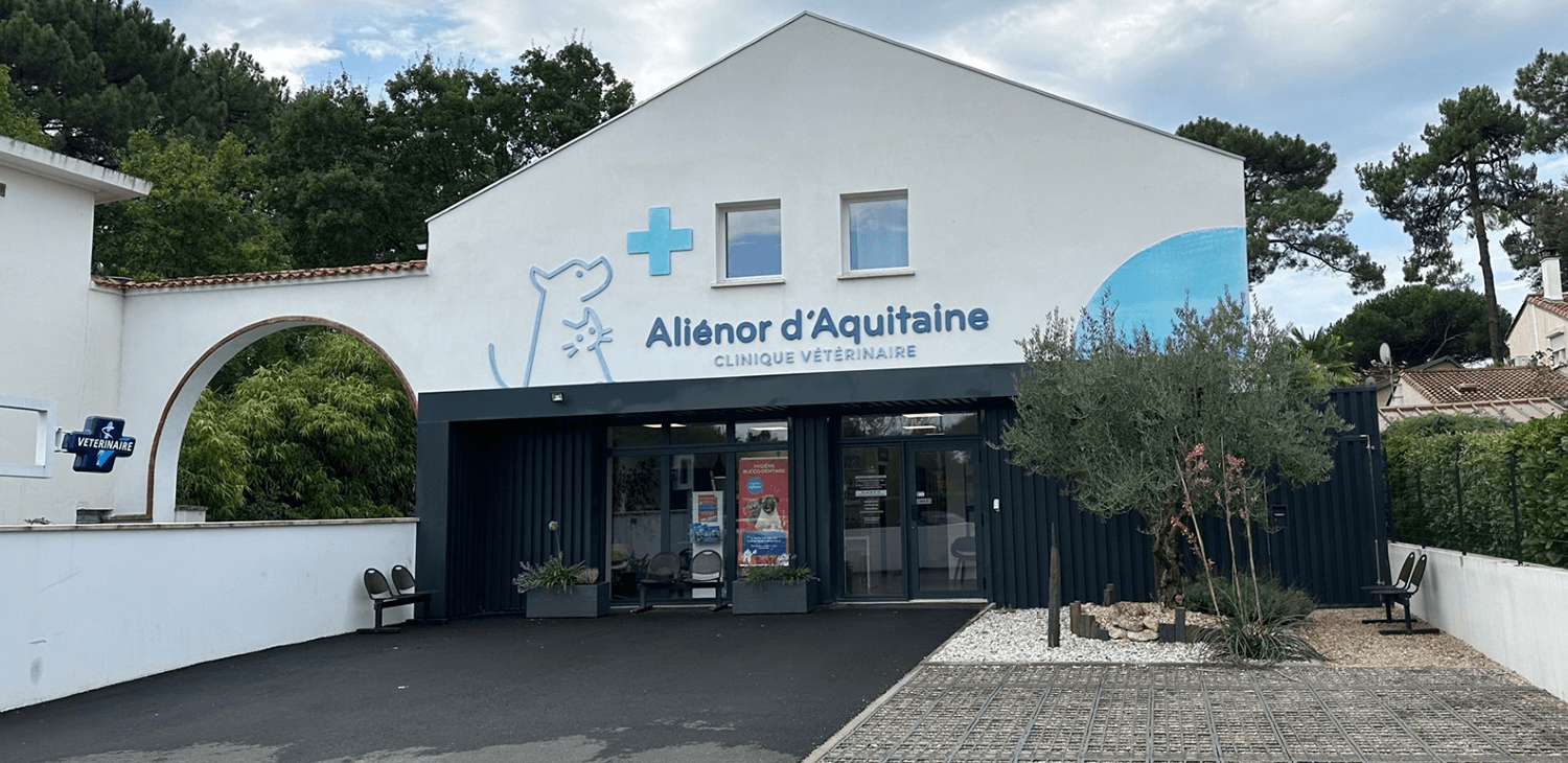 Clinique Vétérinaire Aliénor d’Aquitaine - Royan (17200)